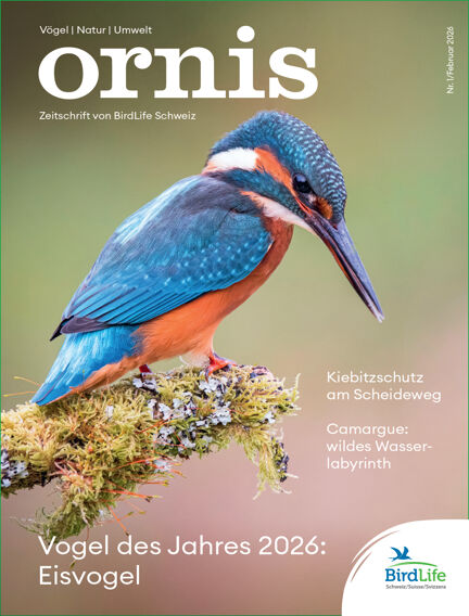 Read ornis magazine on Readly - the ultimate magazine subscription ...