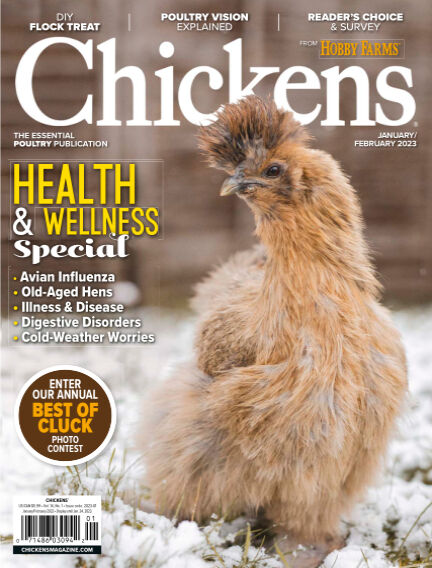 Read Chicken magazine on Readly - the ultimate magazine subscription ...
