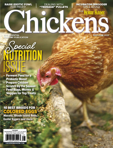 Read Chicken magazine on Readly - the ultimate magazine subscription ...