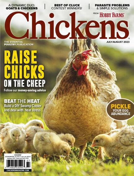 Read Chicken magazine on Readly - the ultimate magazine subscription ...
