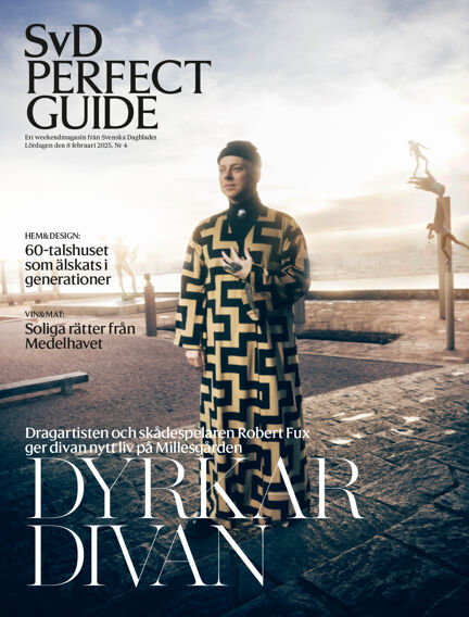 Read SvD Perfect Guide magazine on Readly - the ultimate magazine ...