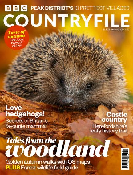 19 October, 2023 - BBC Countryfile Magazine - 1000's of magazines in ...