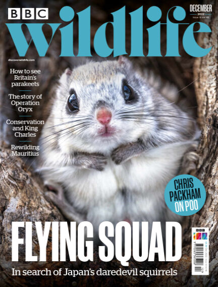 17 November, 2022 - BBC Wildlife Magazine - 1000's of magazines in one app