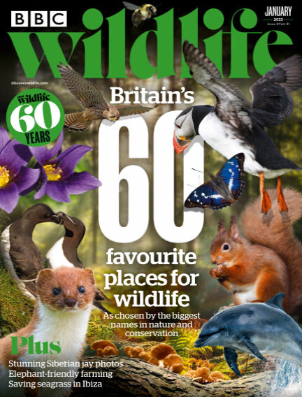 15 December, 2022 - BBC Wildlife Magazine - 1000's of magazines in one app