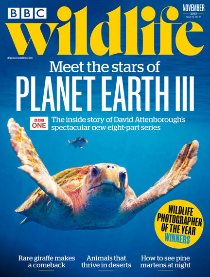 19 October 2023 - BBC Wildlife Magazine - 1000's of magazines in one app